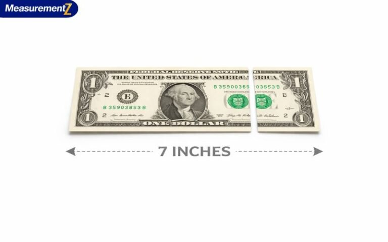 11 Common Things That Are 7 Inches Long - Measurementz