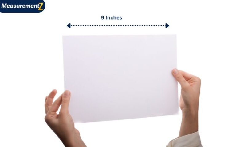 13 Common Things That Are 9 Inches Long - Measurementz